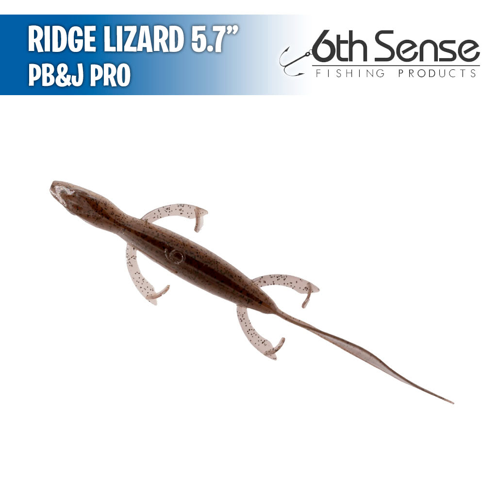 Ridge Lizard 5.7" - 6th Sense | Fishing Depot.mx